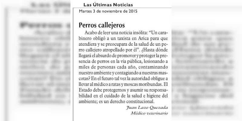 carta perro 800 - La Red