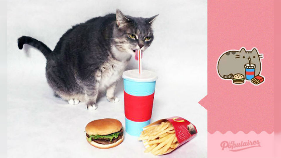¿Conoces al gato Pusheen? Un hombre recreó los populares stickers con ...