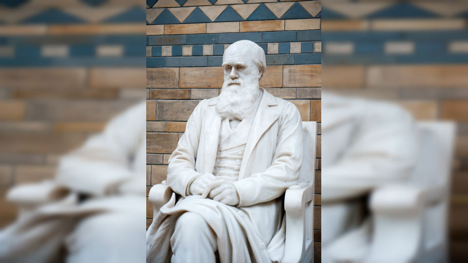 El terremoto de Concepción que sorprendió a Charles Darwin en 1835 - La Red
