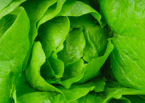 En "Vivir Bien" estudiamos todos los beneficios y propiedades que tiene ...