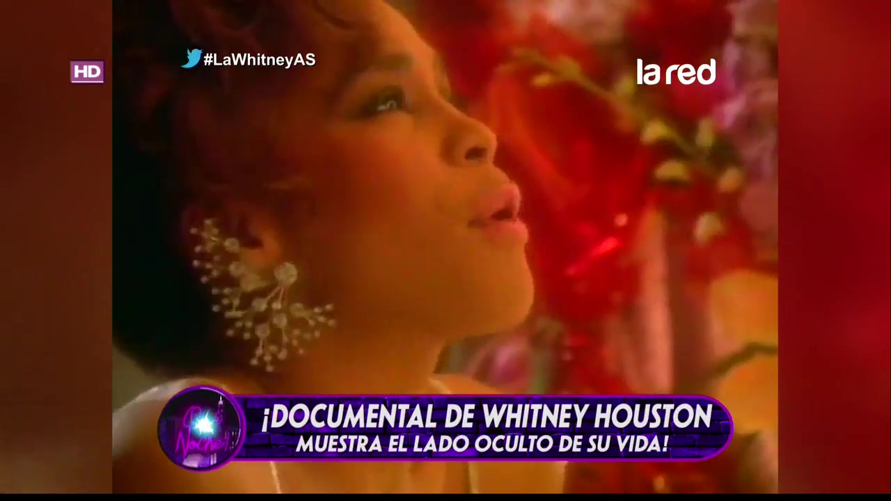 La adicción de Whitney Houston a las drogas deterioraron su salud y ...