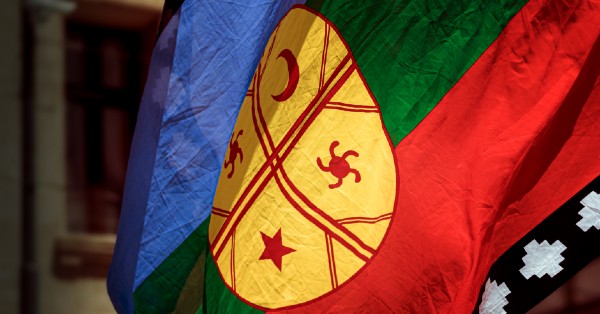 bandera-mapuche-shutter-600 - La Red
