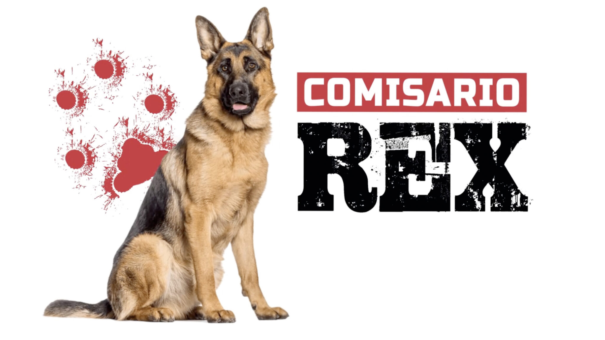 Programas - La Red